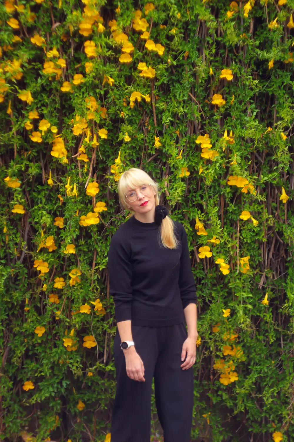 DMC X Danielle Clough - Radioactive Cassias Thread Bundle - DMC