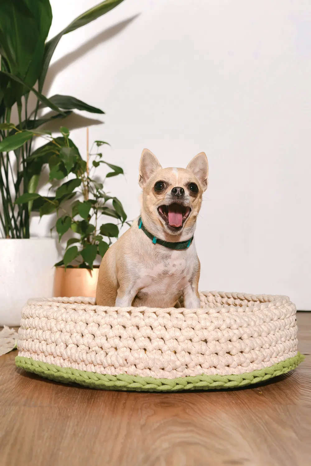 Book Nova Vita 12 - DMC