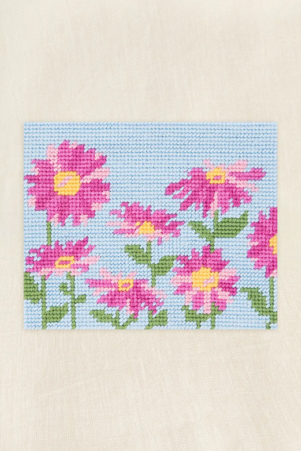 Daisy Field by Jo Aston Easy Tapestry & Needlepoint Kit - DMC