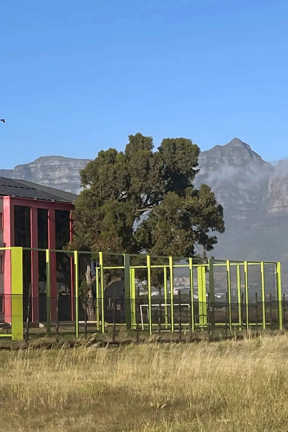 DMC X Danielle Clough - Star Collage Bundle of Embroidery Thread - DMC