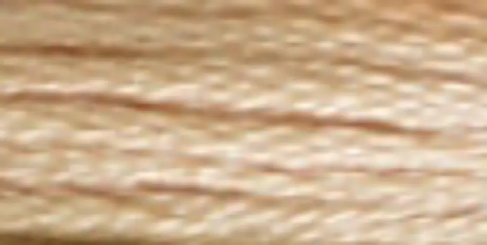 [3893] 25番糸 限定色 - DMC