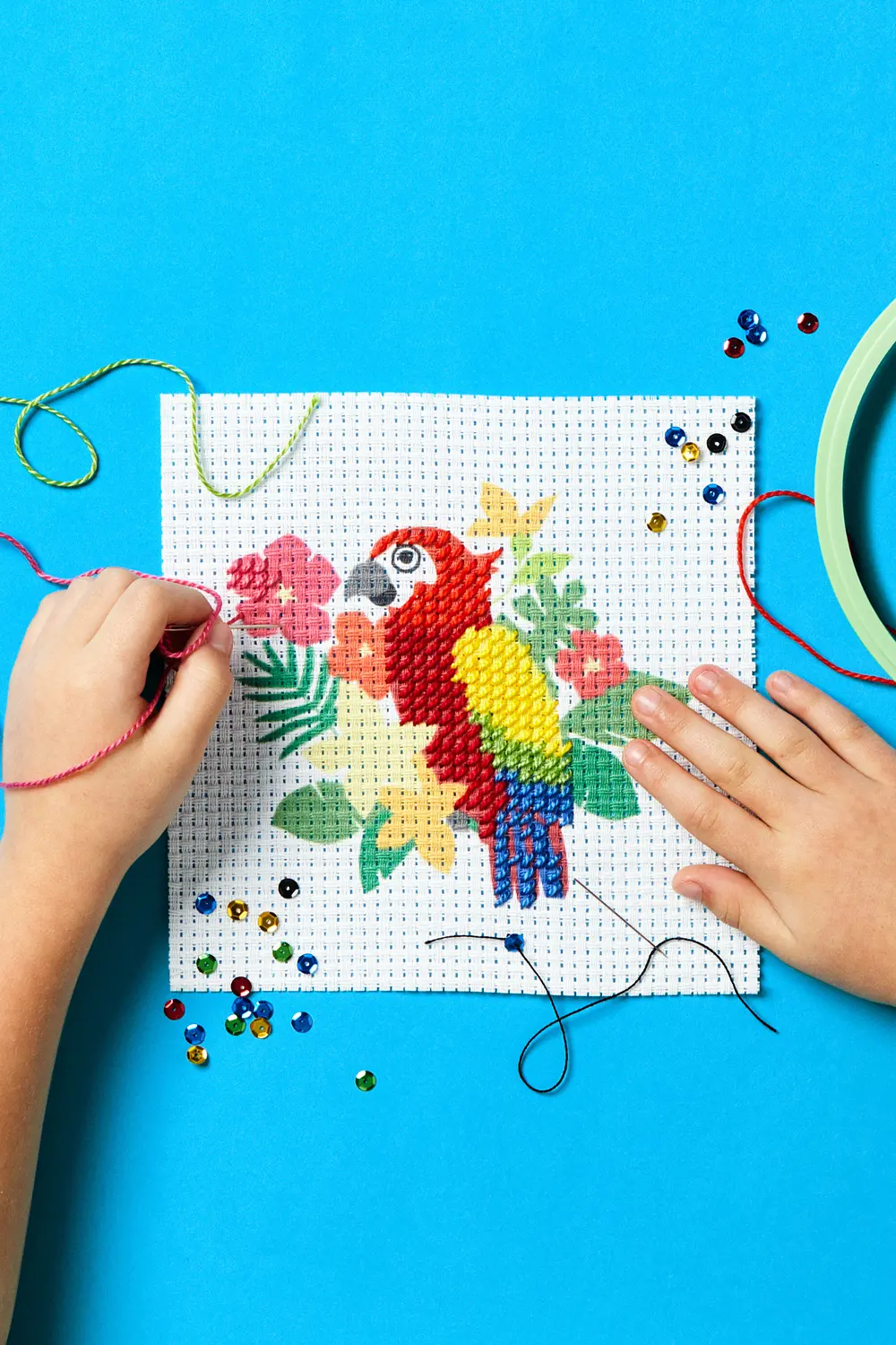 Kit broderie perroquet au demi point - DMC